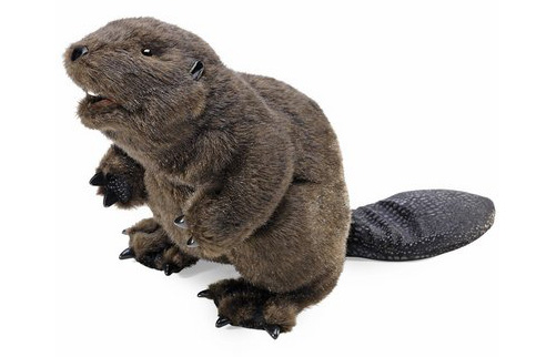 Handpuppe Biber | PHBern