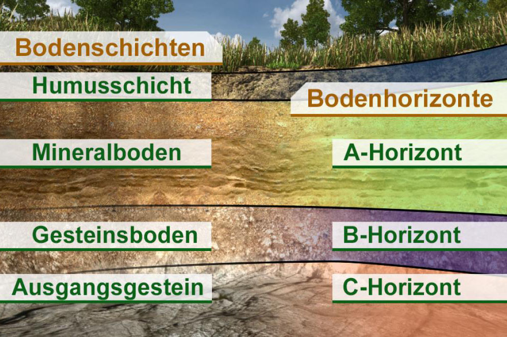 Bodenkunde (Kl. 7-9) | PHBern