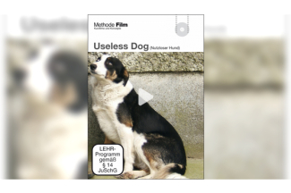 Useless dog | PHBern