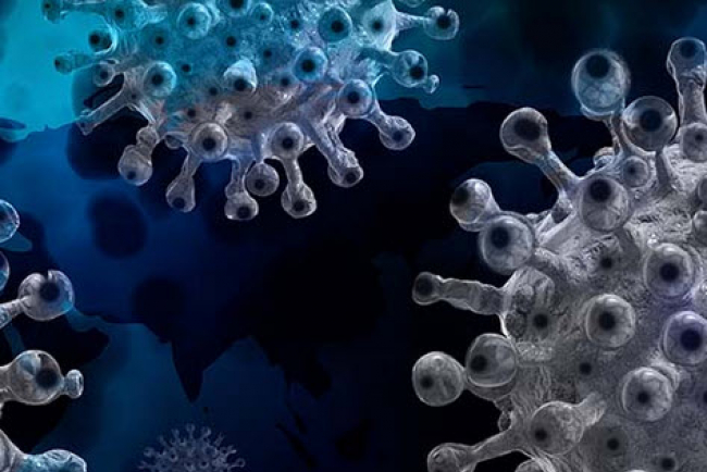 Epidemien, Pandemien, Endemien | PHBern