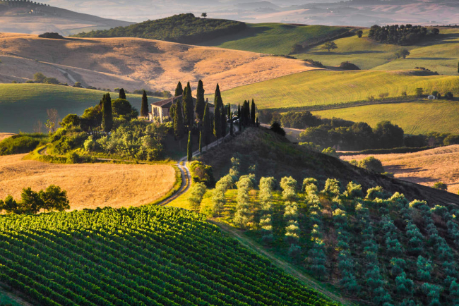 Die Subtropen | PHBern